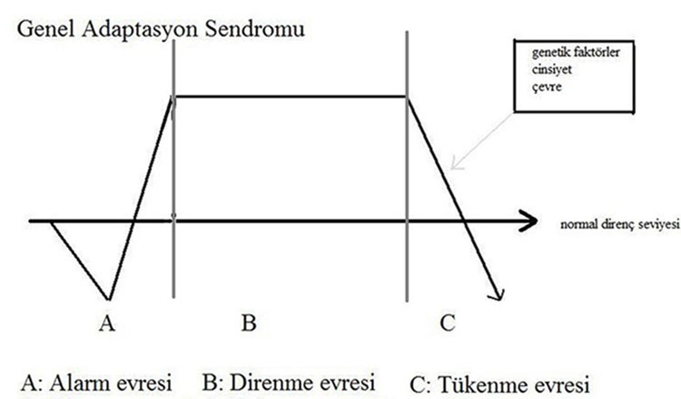 Scio Pro ve Scio Theta Türkiye Resmi Distribütörü